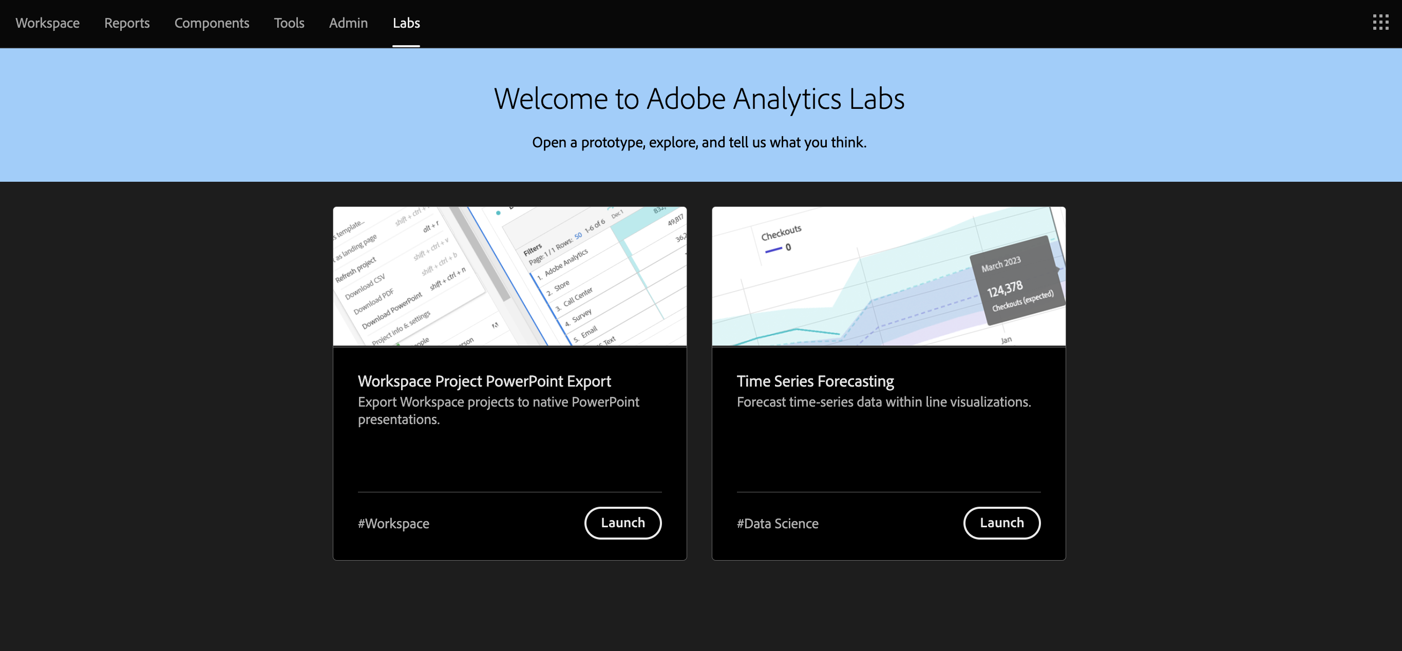 Adobe Analytics Labs - Prototype - Workspace Proje... - Adobe ...